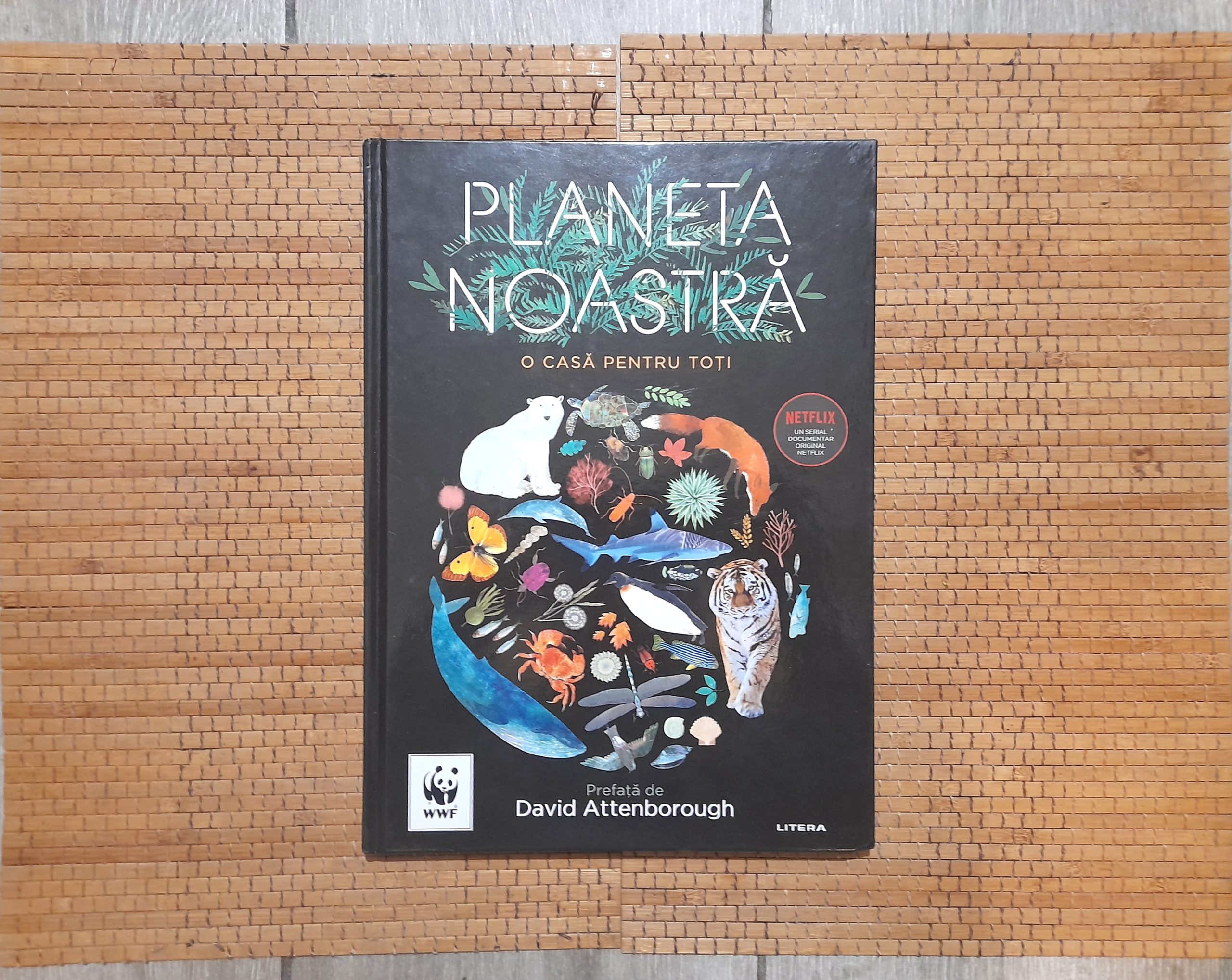 Bine de citit: Planeta noastră - Radio Bucuresti FM - Radio Muzica Live ...